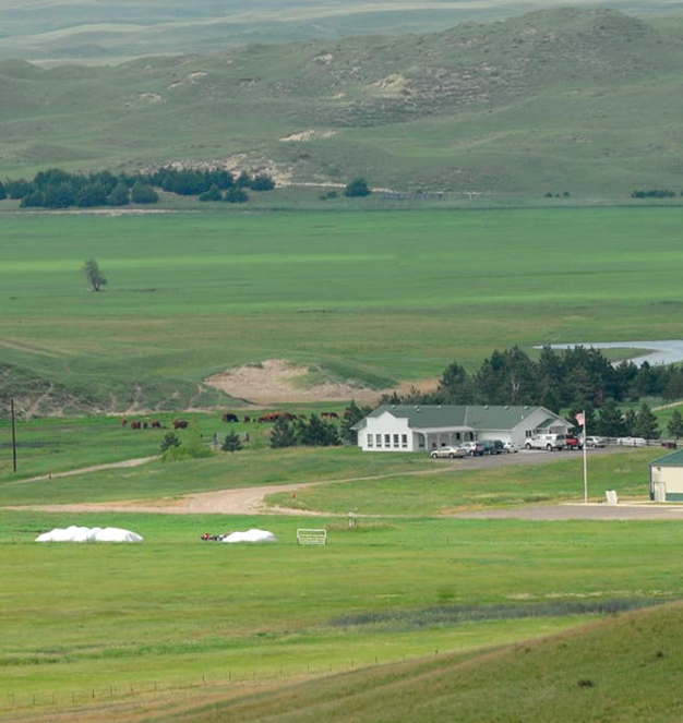 FP&CP Services | Real Estate